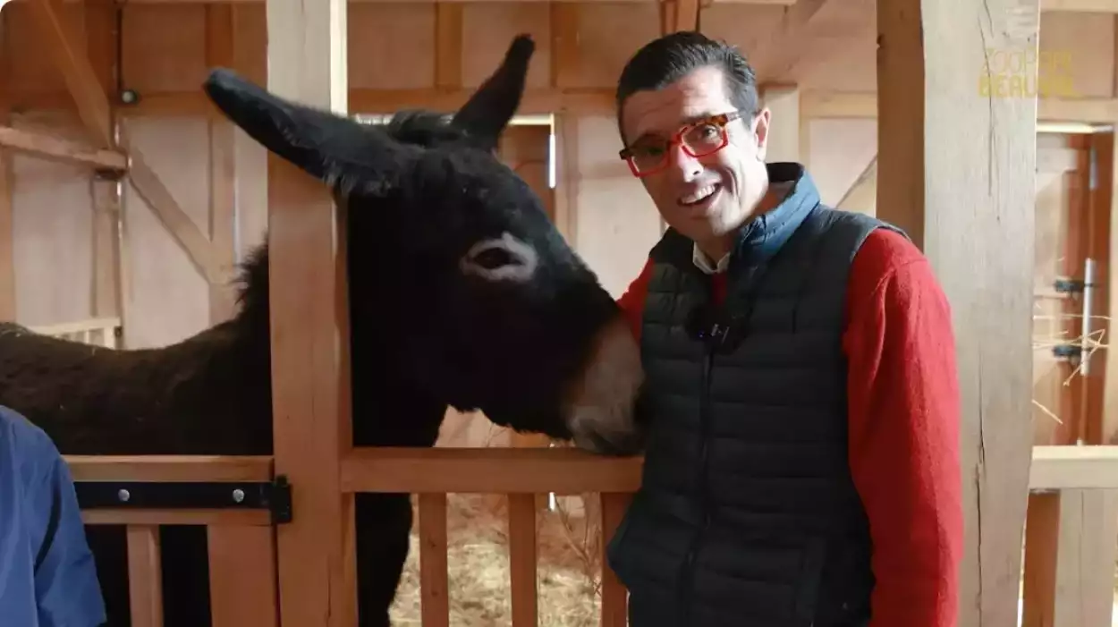 Les Meilleurs Restaurants au Zoo de Beauval : Prix et Options